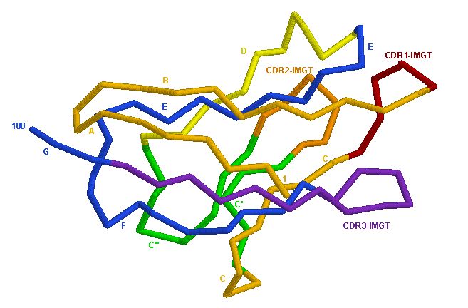 molecular biology webpage